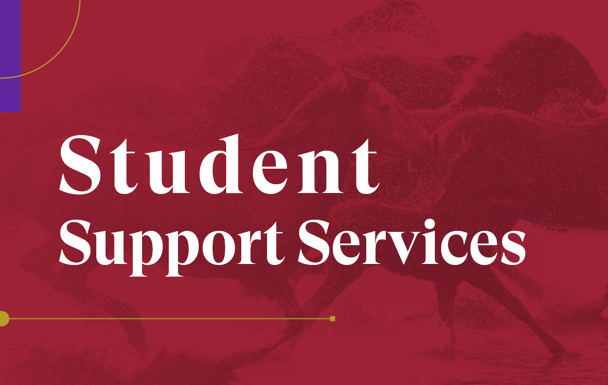 Student Support Services Virtual Information Session | Rider University
